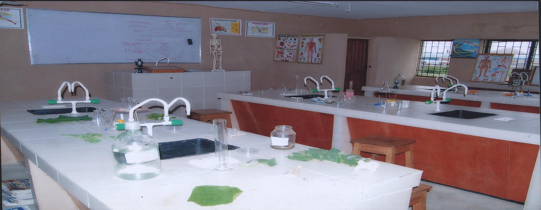 CALCULUS COLLEGE IBADAN – Welcome